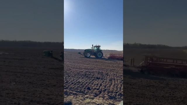 Трактор IRON BULL TTS 240 л. с. на полях Ленинградской области