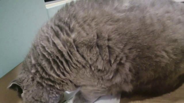 Вот так Михалыч