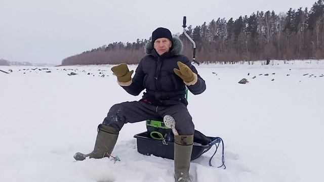 Рыбалка среди топляков.