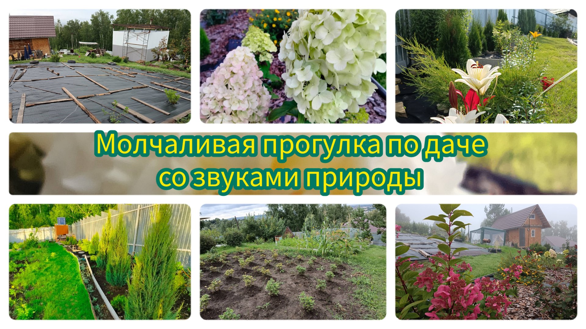 ДАЧА С 2020 ПО 2024 ГОДЫ В ОДНОМ ВИДЕО