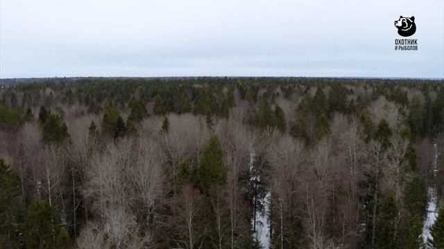 Весенняя охота на гуся. Промо. Канал Охотник и Рыболов