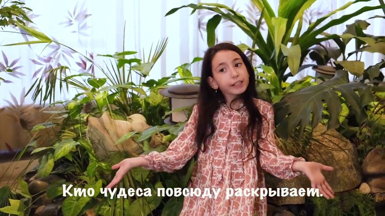 Клип Джунгли