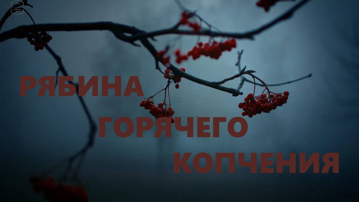 Рябина горячего копчения