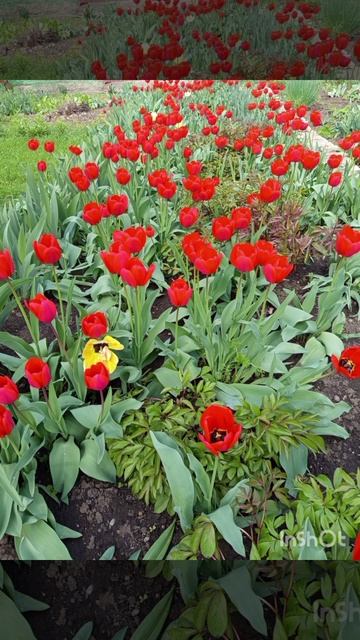 Доброе утро!💞