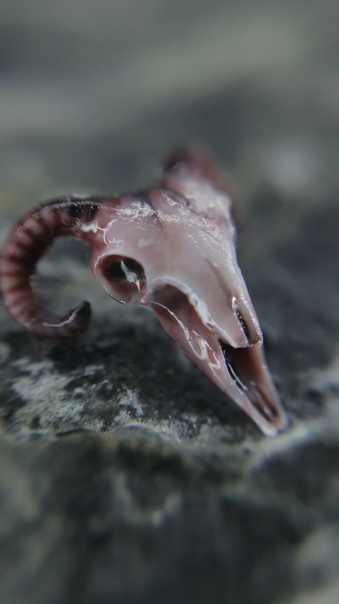 Этот мотив может показаться несколько неожиданным. 
Но очень многие просили именно этот молд.