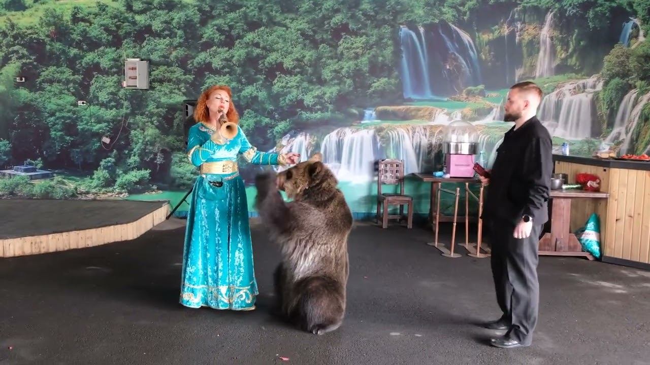 Шоу представление «Бурый медведь»