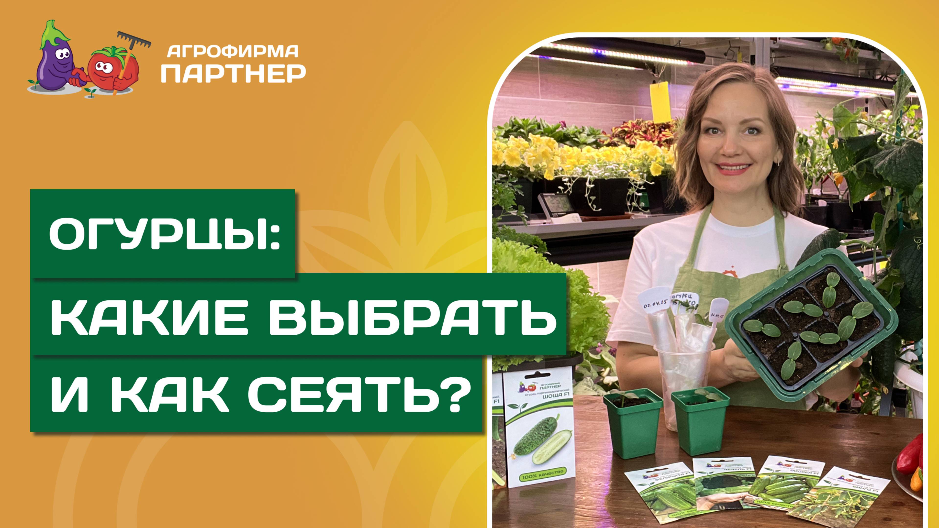 СЕКРЕТЫ ОГУРЕЧНОГО УСПЕХА // Выбор гибридов и легкие способы посева
