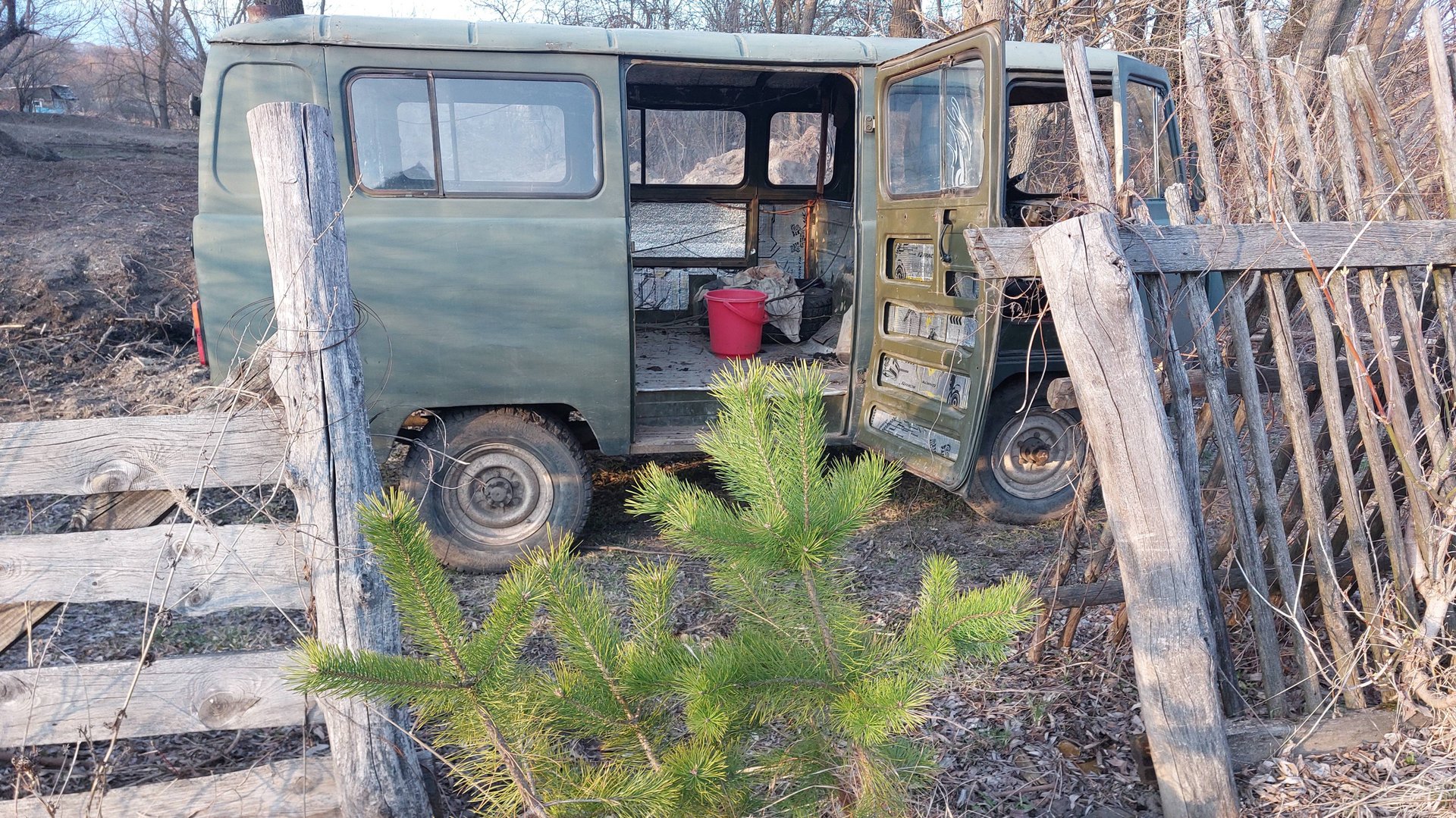 Снова сажаю лес. Апрель-2025! Купил дом в деревне!