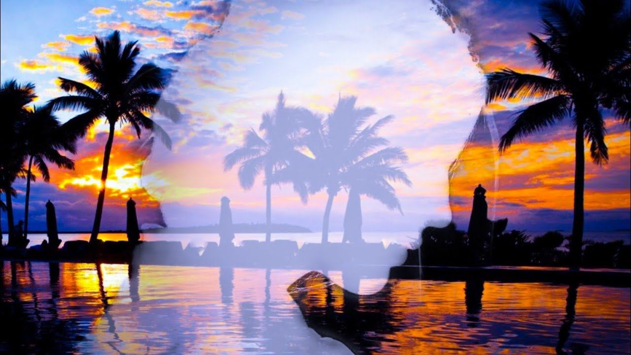 Николай Заболоцкий "Я трогал листы эвкалипта..." Читает Павел Морозов