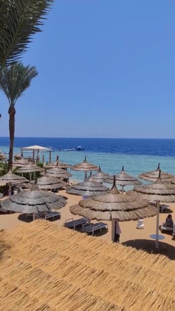 Sunrise Montemare Beach Resort. Египет, Шарм-эль-Шейх