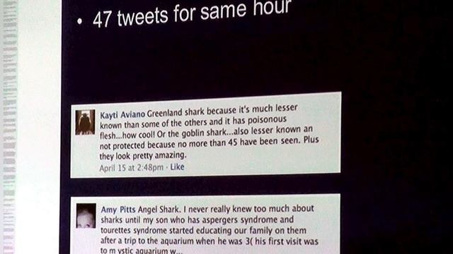 Mangrove Bay  A New Elasmobranch Touch Experience at the New England Aquarium