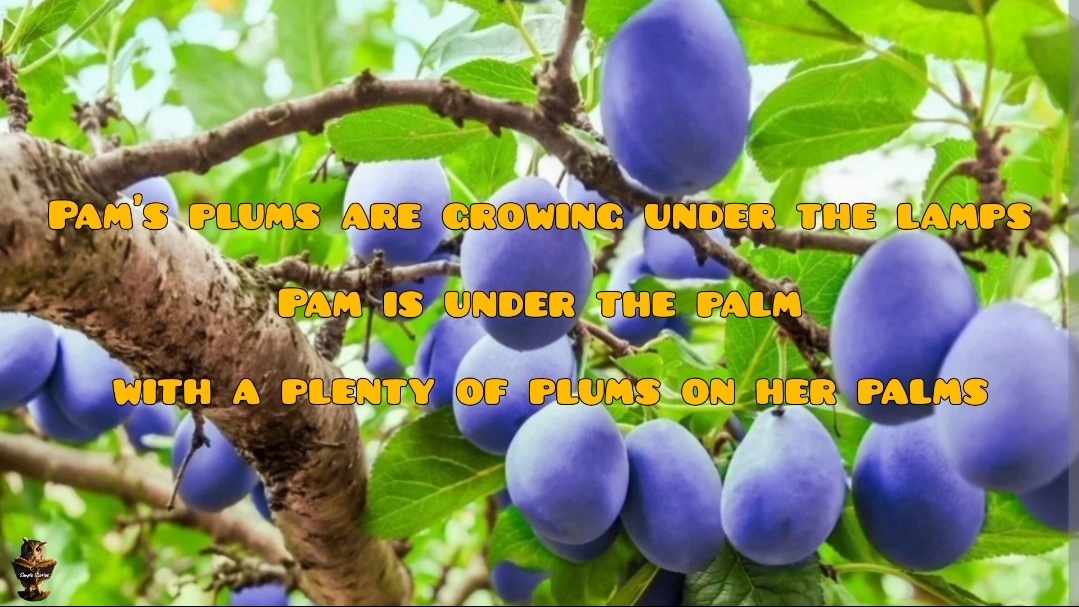 Tongue Twister. Pam's plums are growing under the lamps...