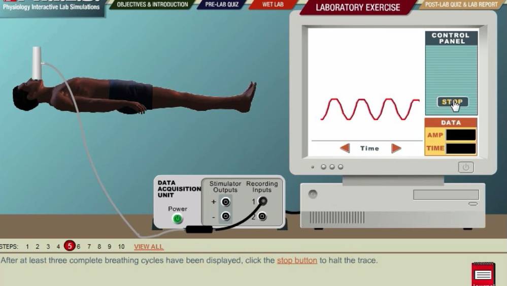 Метаболизм при изменении положения тела. 4 семестр. Тема 9. Работа 1
