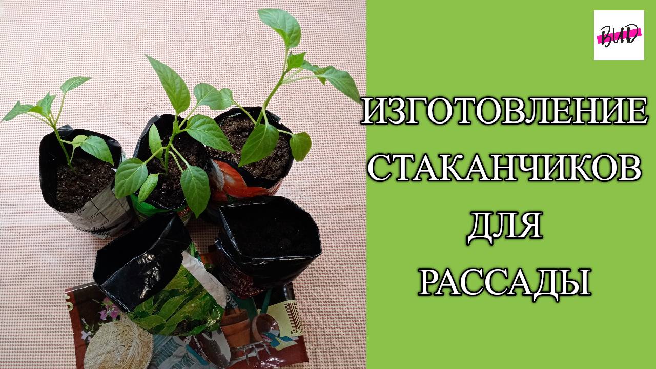 КАК СДЕЛАТЬ СТАКАНЧИКИ ДЛЯ РАССАДЫ.