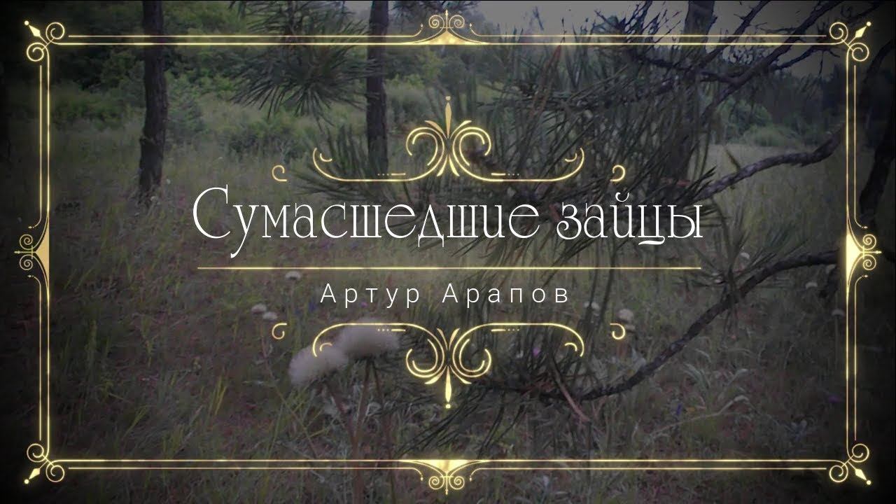 Сумасшедшие зайцы