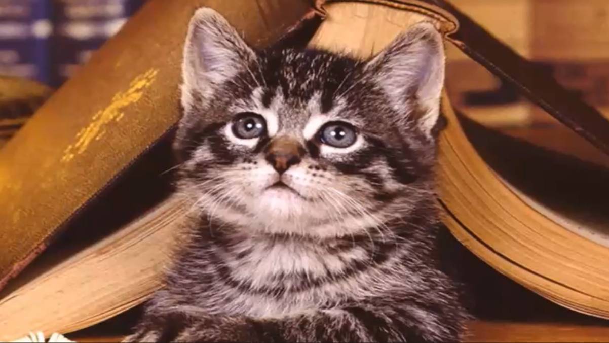 Текстовые задачи