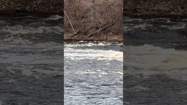 Едем в экспедицию!