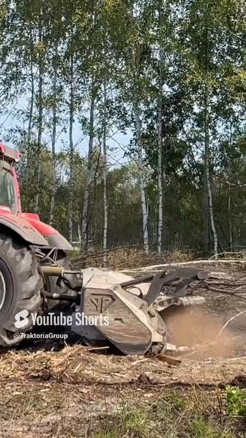 Опять исправляю ошибки технологии расчистки. НУ ЗАЧЕМ ЭТИ ВАЛКИ? 89261385927 #ротоватор #мульчер