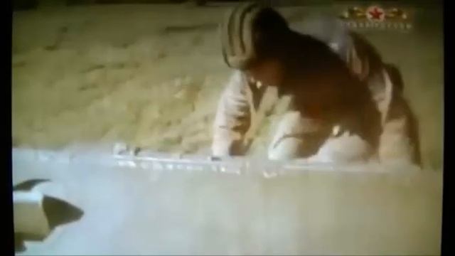 БМД привстала над укрытьем. (Владимир Высоцкий)