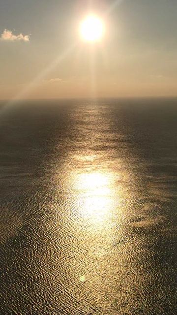 Зимние цветы на морской глади.