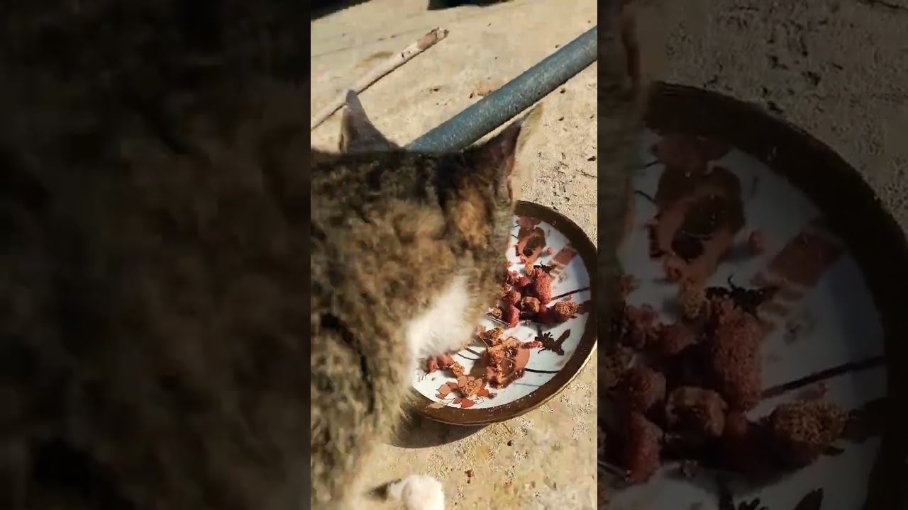 9 февраля 2024 г.серьезная рожа