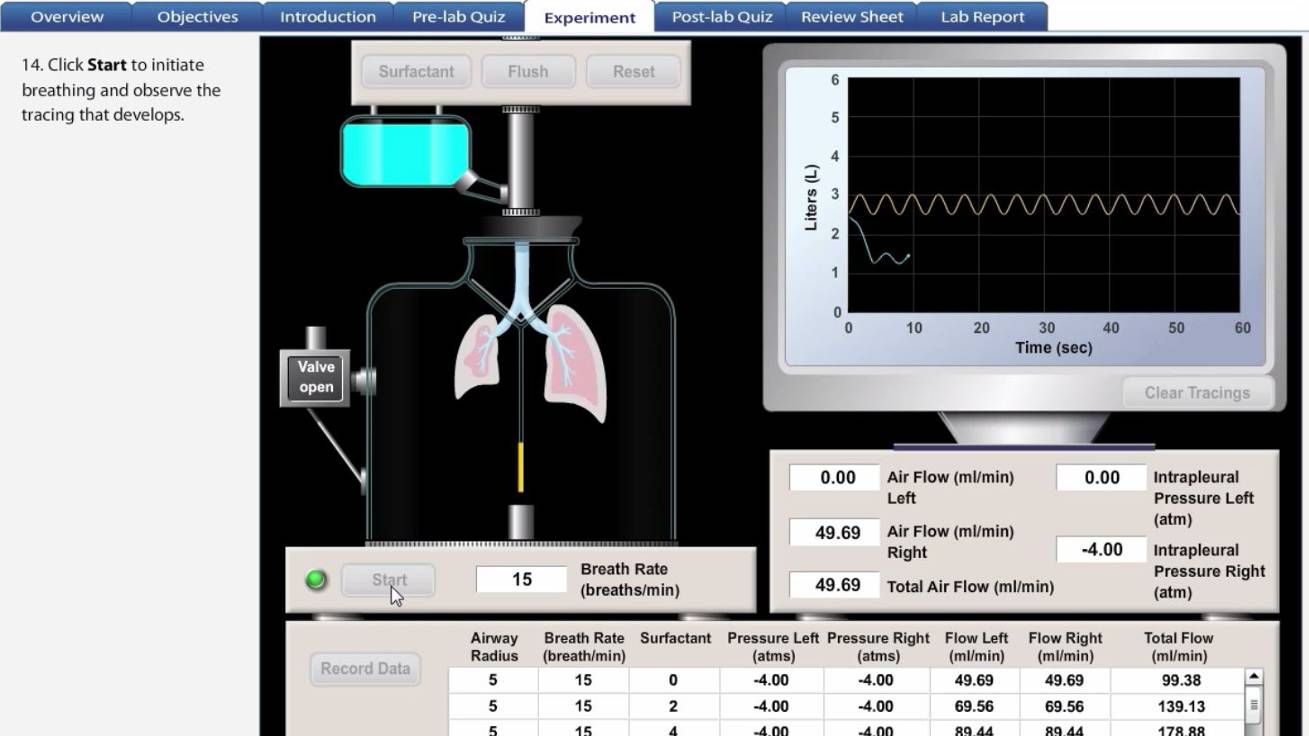 Влияние сурфактанта и внутриплеврального давления на дыхание. 4 семестр. Тема 7. Работа 6