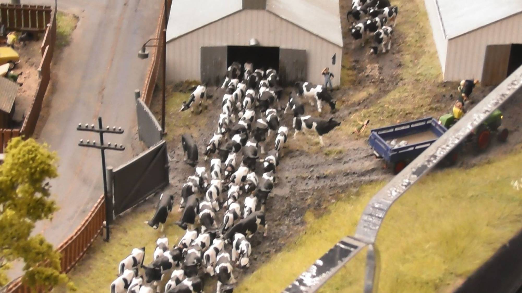экскурсии в Санкт Петербурге, Гранд Макет, Коровник, стадо коров, деревенская жизнь