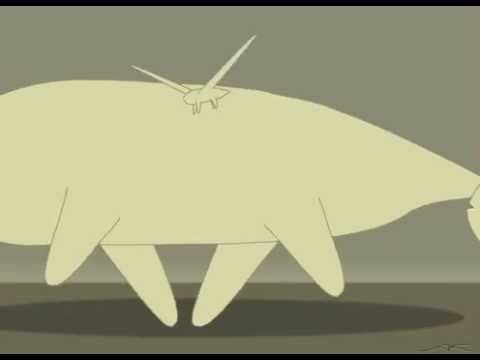 2  ПЕРВЫЙ ЛЕТУН