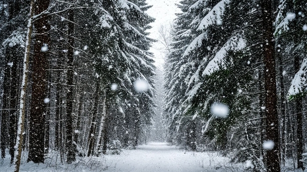 Снег кружиться летает и тает.