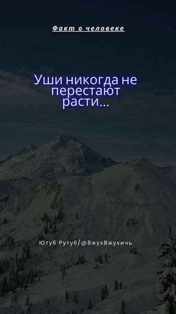 (N3 ) Цитаты о человеке