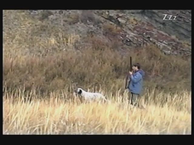 Усть-Абакан. Охоты с легавыми 2004г. Фильм.