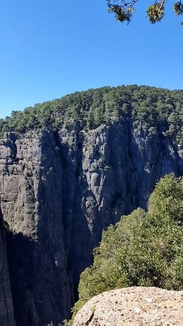 Каньон Аватар