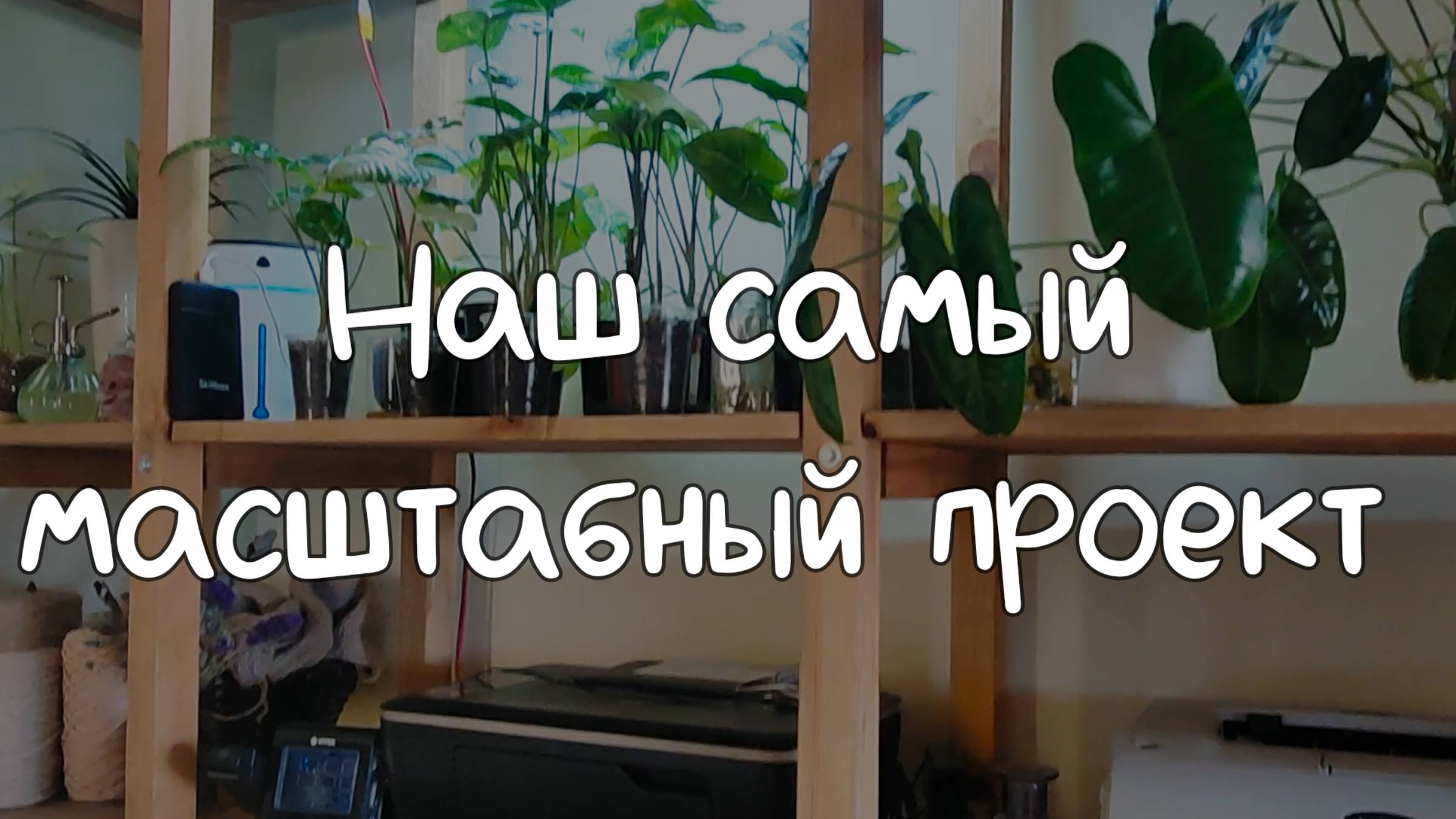 Кладезь Уюта: Наш самый масштабный проект (Цветочный стеллаж) [2025]