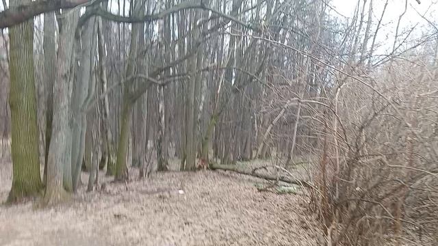 Все дороги ведут в весенний лесопарк!"Бицевский лес" природно-исторический парк. Москва.