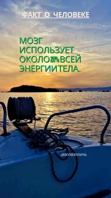 (N10 ) Цитаты о человеке