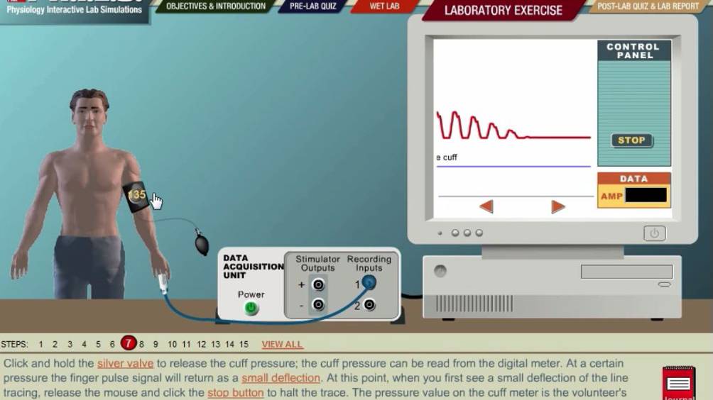 Кровяное давление. 4 семестр. Тема 4. Работа 1