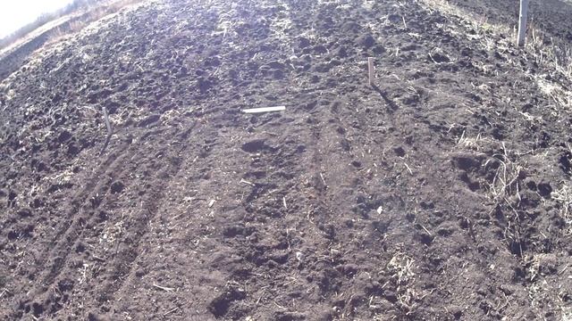 Делаю теперь свой майонез, и умный курятник. С вайфай.