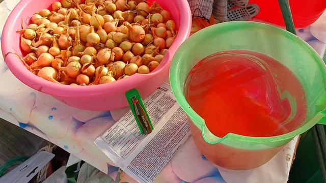 Началась огородная пора Вместе посадим и польём