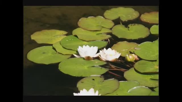 Тагасук 2006. Рыбалка. Слайд-шоу.