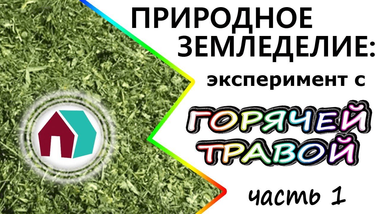 ГОРЯЧАЯ ТРАВА в ПРИРОДНОМ ЗЕМЛЕДЕЛИИ (эксперимент) часть 1