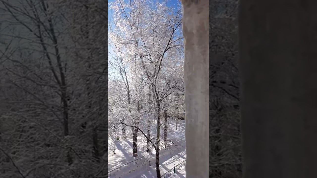 Доброе снежное утро