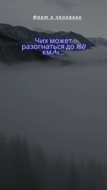 (N2 ) Цитаты о человеке