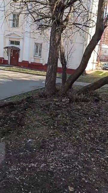 Nikon NPL-322 после сервиса. Радостное видео от клиента