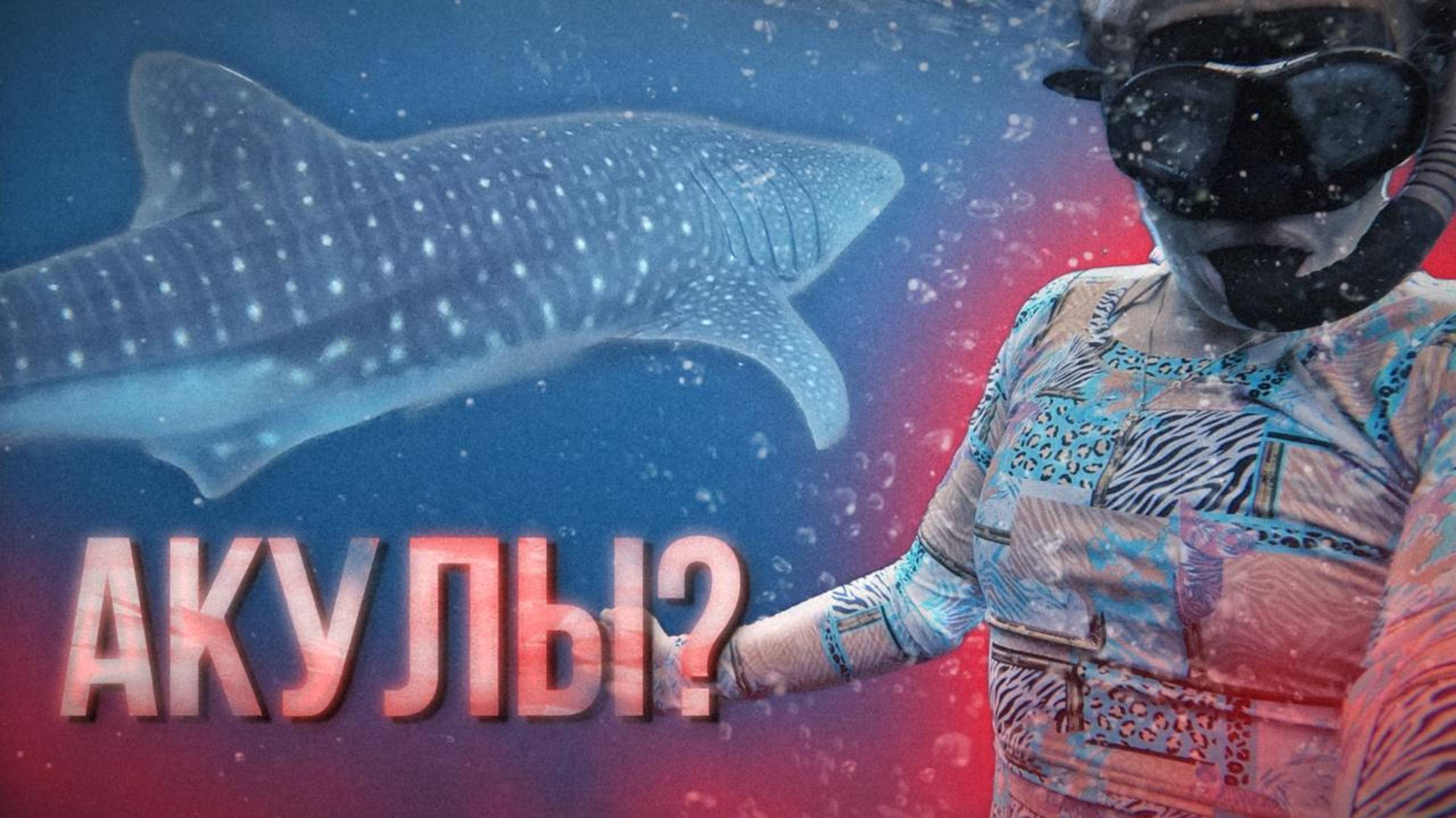 🔥 ОХОТА ЗА КИТОВЫМИ АКУЛАМИ НА БАЙКЕ! СУМБАВА, ЛОМБОК И СЕКРЕТНЫЕ СОКРОВИЩА ИНДОНЕЗИИ 🦈🏝