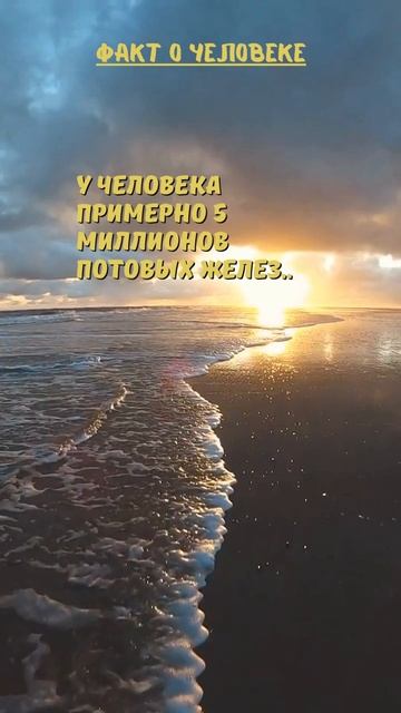 (N6 )Цитаты о человеке