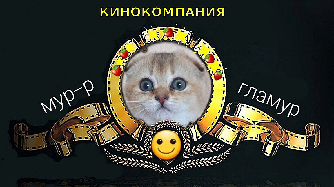 Звезда