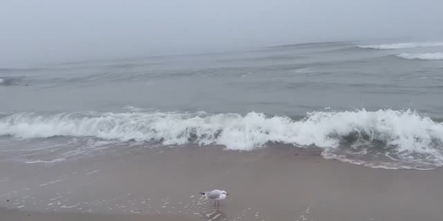 Зеленоградск. Калининградская область. Балтийское море