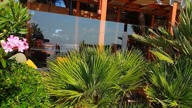 КРЫМ! Наш клип на песню Шуфутинского. Делаем второй год подряд ))