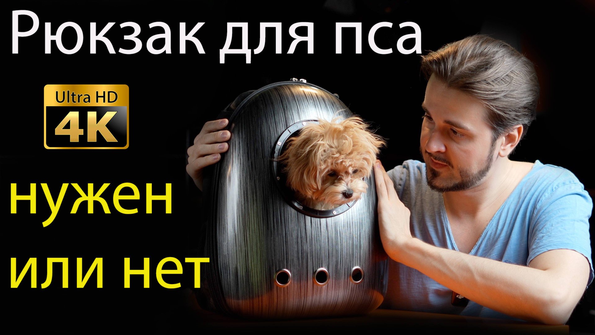 Рюкзак для собаки нужен?