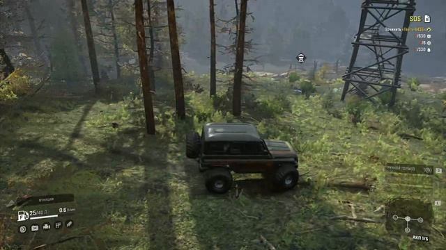 Вышка в лесу